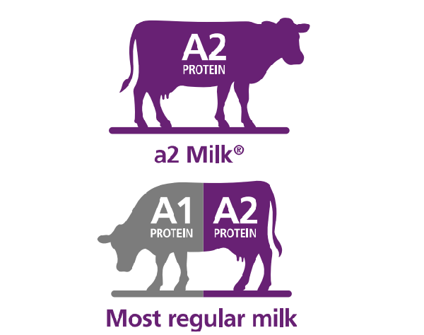 About Us – a2 Store®